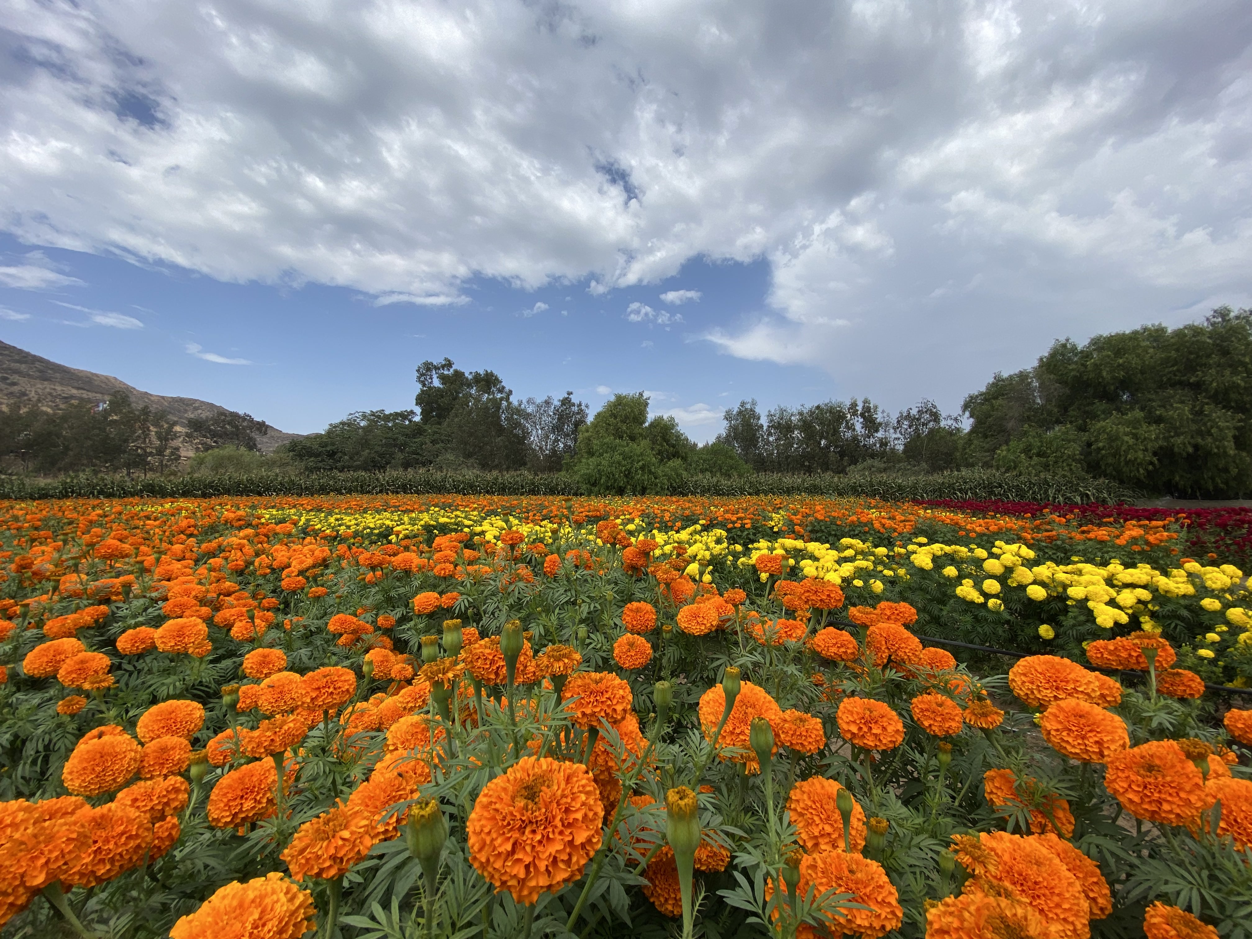 Ven a conocer Mictlán, el inframundo mexica en Tijuana