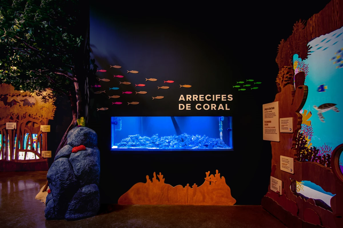 Caracol Museo de Ciencias Museo en Ensenada