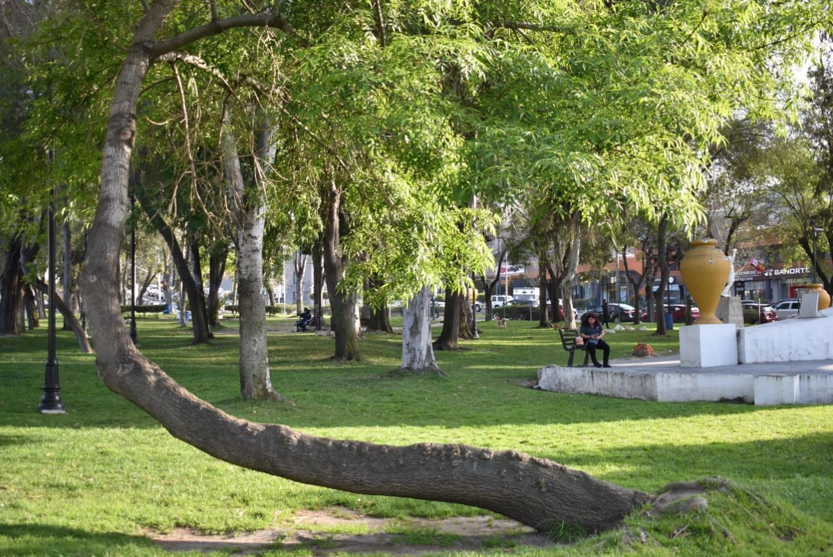 Torre Tijuana replica de la Torre Agua Caliente Monumentos, estatuas y ...